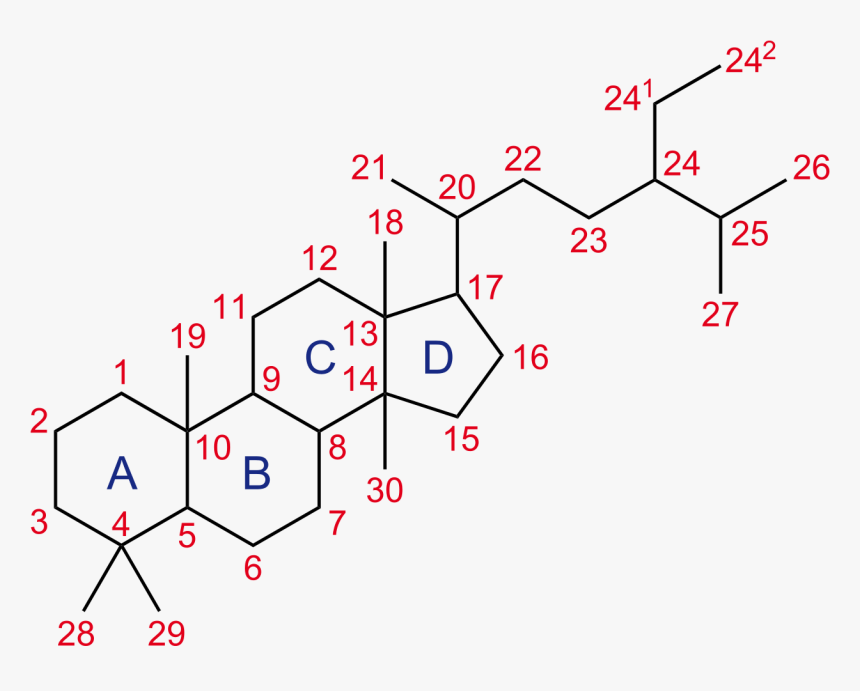 Anabolic Steroid Structure, HD Png Download , Transparent Png Image ...
