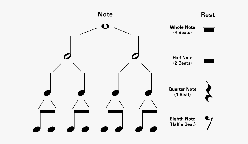 Piano Notes Time Values, HD Png Download , Transparent Png Image - PNGitem