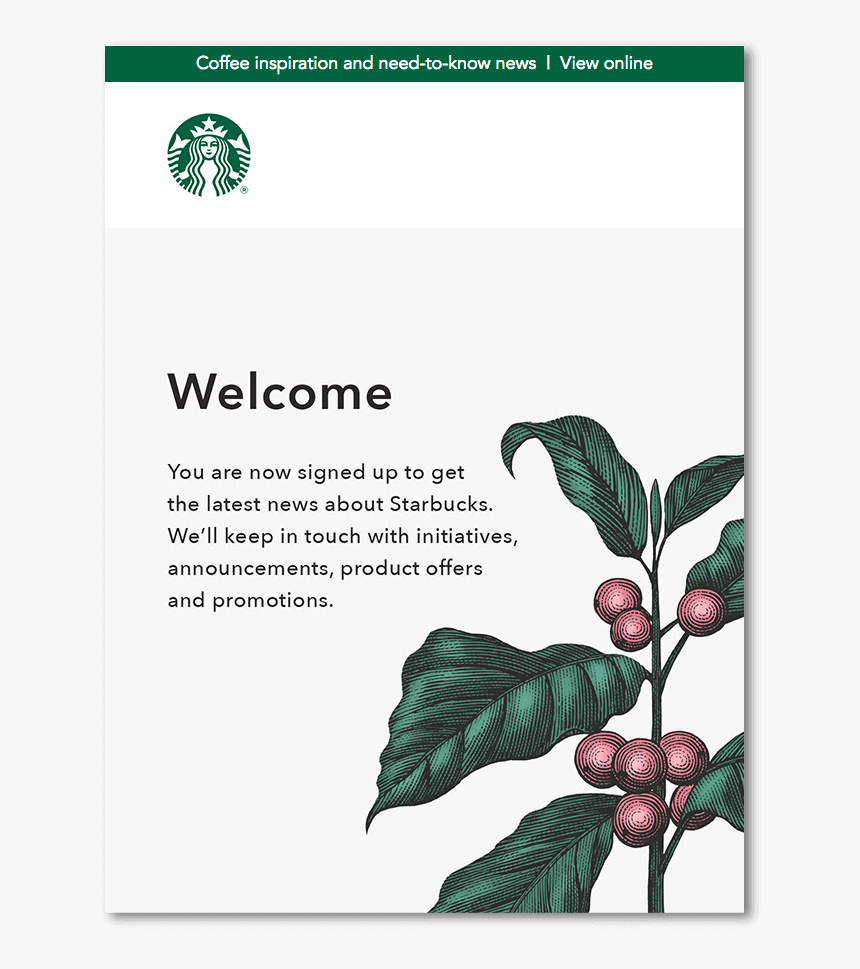 Starbuck S Welcome Email - Starbucks Welcome Email, HD Png Download ...