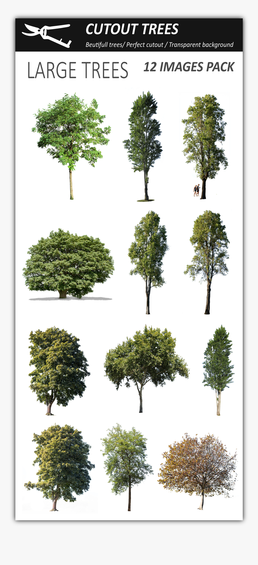 Tree Cut Out Background Png, Transparent Png , Transparent Png Image ...