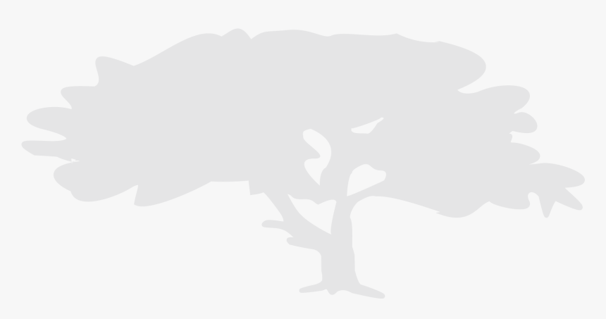 A Light Gray Illustration Of A Large Tree With A Transparent - Tree, HD ...