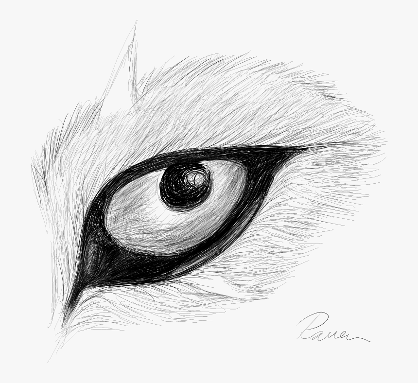 Raven Eye Drawing, HD Png Download , Transparent Png Image - PNGitem
