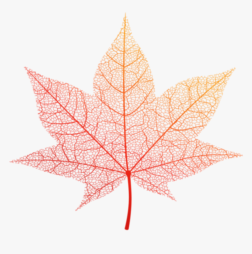 Pink Autumn Leaf Png, Transparent Png , Transparent Png Image - PNGitem