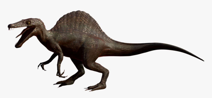 Oxalaia Quilombensis, HD Png Download , Transparent Png Image - PNGitem