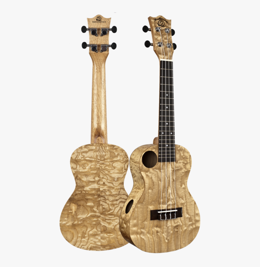 Snail Concert Ukulele Quilted Ash - Guitar, HD Png Download ...