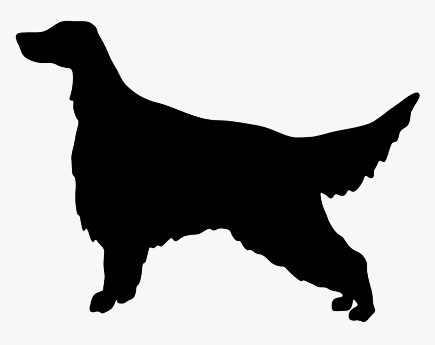 Red Setter Clipart Golf - Golden Retriever Silhouette Vector, HD Png ...