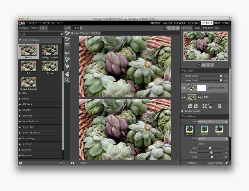 Dynamic Contrast - Natural, HD Png Download , Transparent Png Image ...