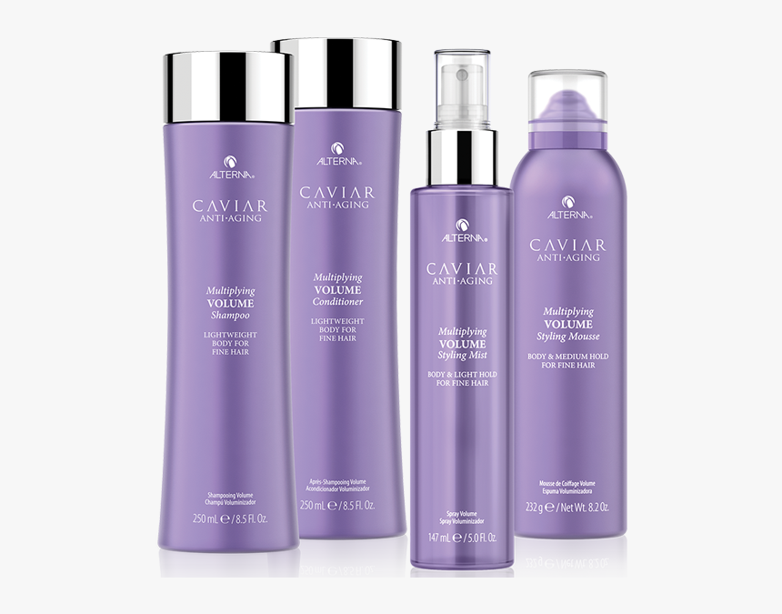 Shampoo And Conditioner,hair Oil,dry Shampoo,travel - Alterna, HD Png ...