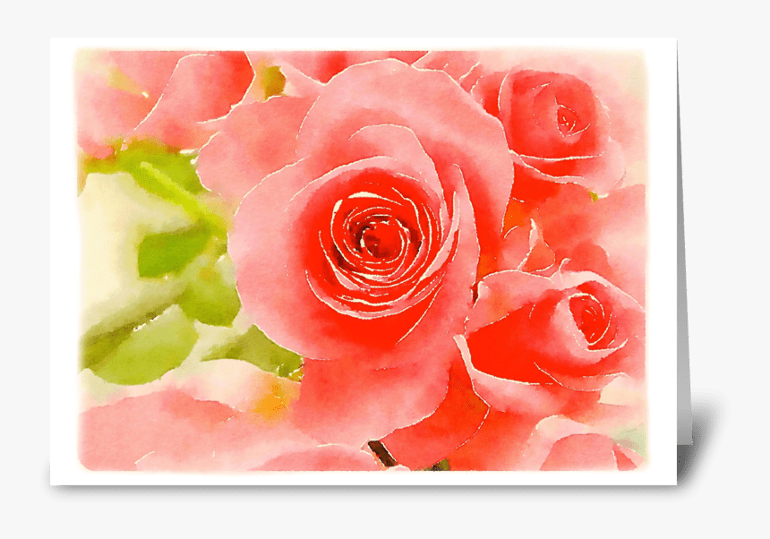 Roses Greeting Card - Garden Roses, HD Png Download , Transparent Png ...