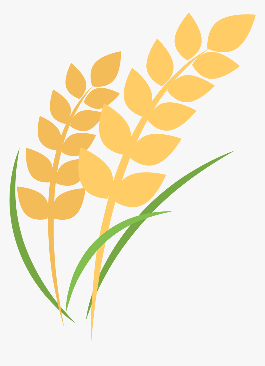 Rice Plant Cartoon Png , Png Download - Clipart Rice Plant Png ...