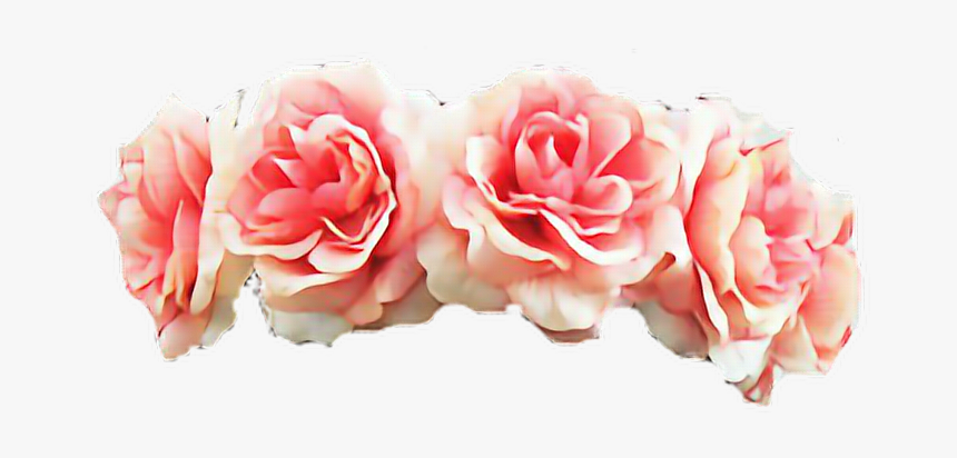 Flower Crown Transparent Background, HD Png Download , Transparent Png ...