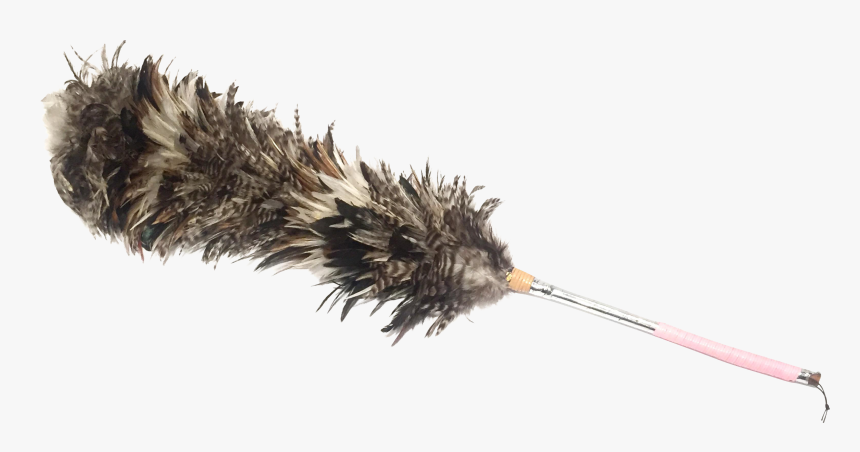 Feather Duster Png - Feather Boa, Transparent Png , Transparent Png ...