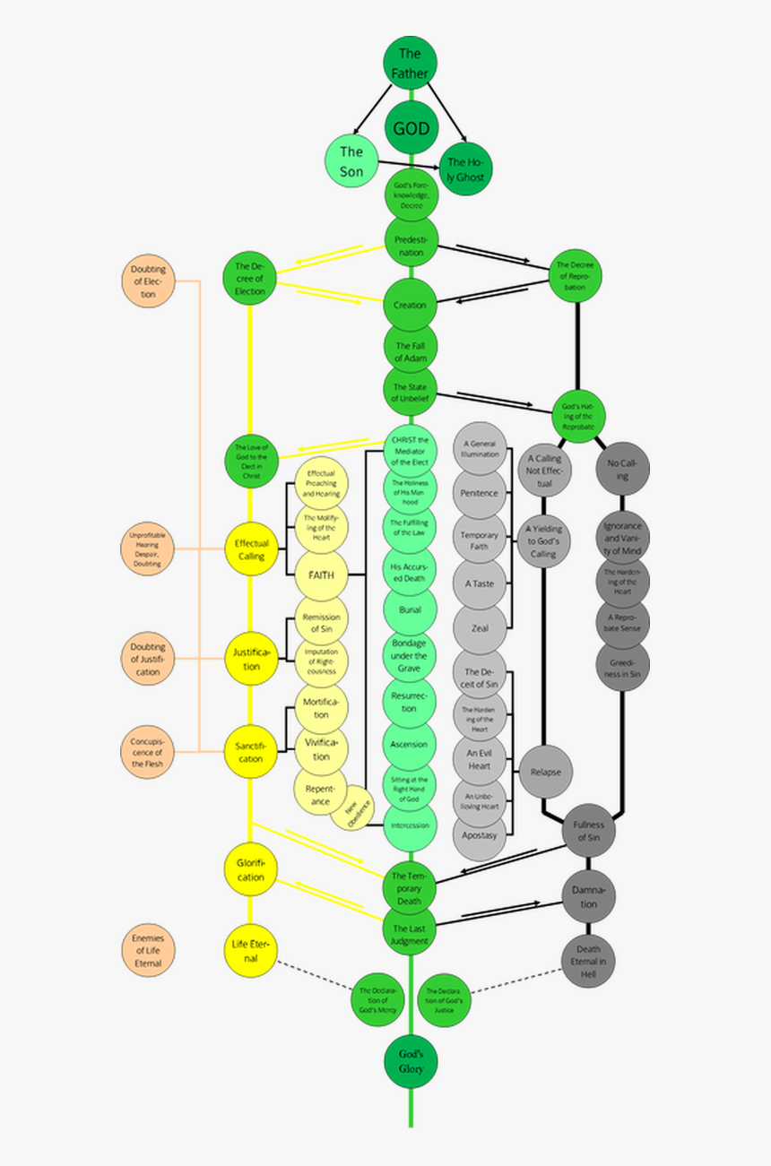 Picture - William Perkins Golden Chain Of Salvation, HD Png Download ...
