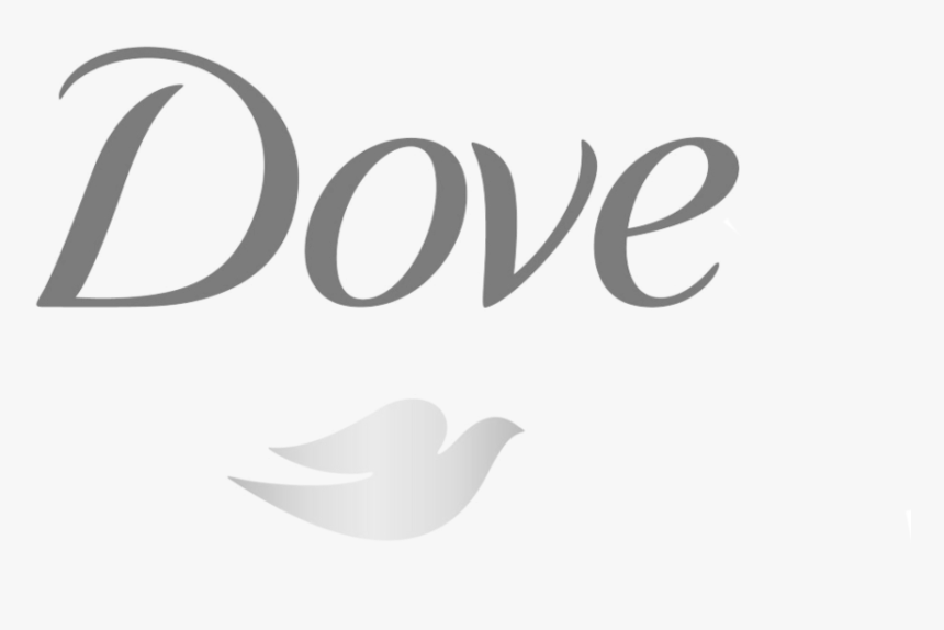 Dove, HD Png Download , Transparent Png Image - PNGitem