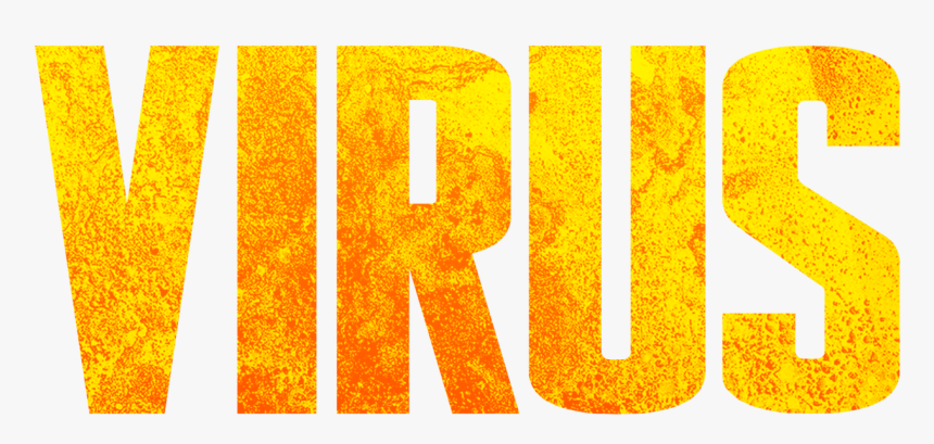 Orange, HD Png Download , Transparent Png Image - PNGitem