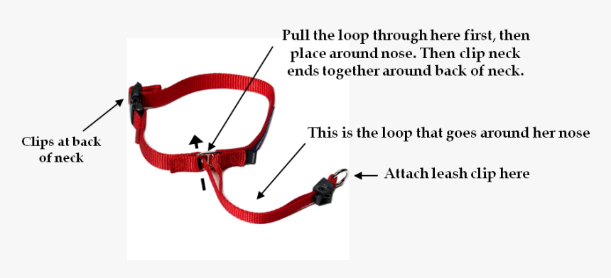 Bow, HD Png Download , Transparent Png Image - PNGitem