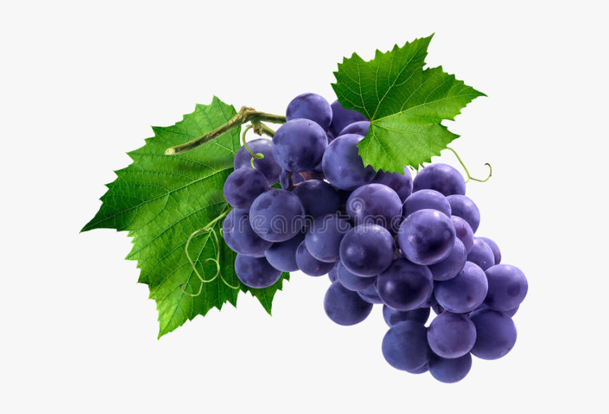 Bunch Of Purple Grapes, HD Png Download , Transparent Png Image - PNGitem