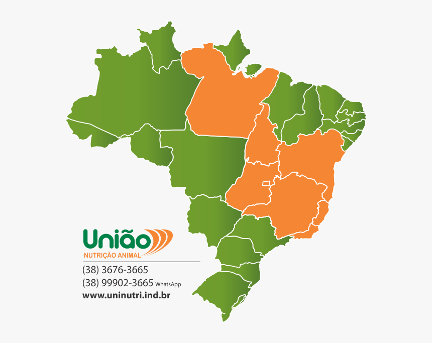 Brazil Map Transparent Background, HD Png Download , Transparent Png ...