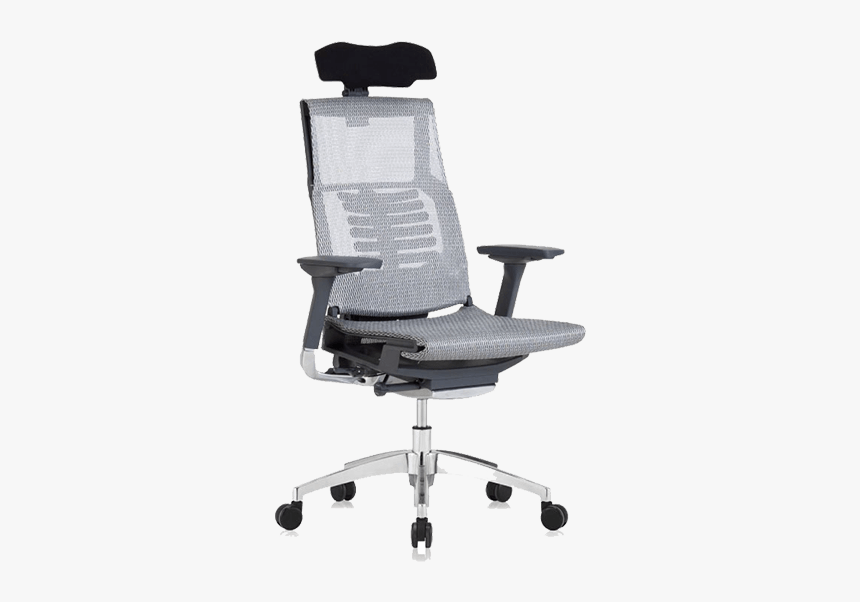 Pofit, HD Png Download , Transparent Png Image - PNGitem