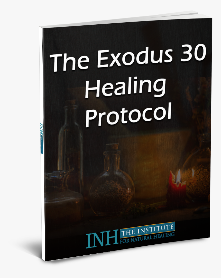 Exodus - Poster, HD Png Download , Transparent Png Image - PNGitem