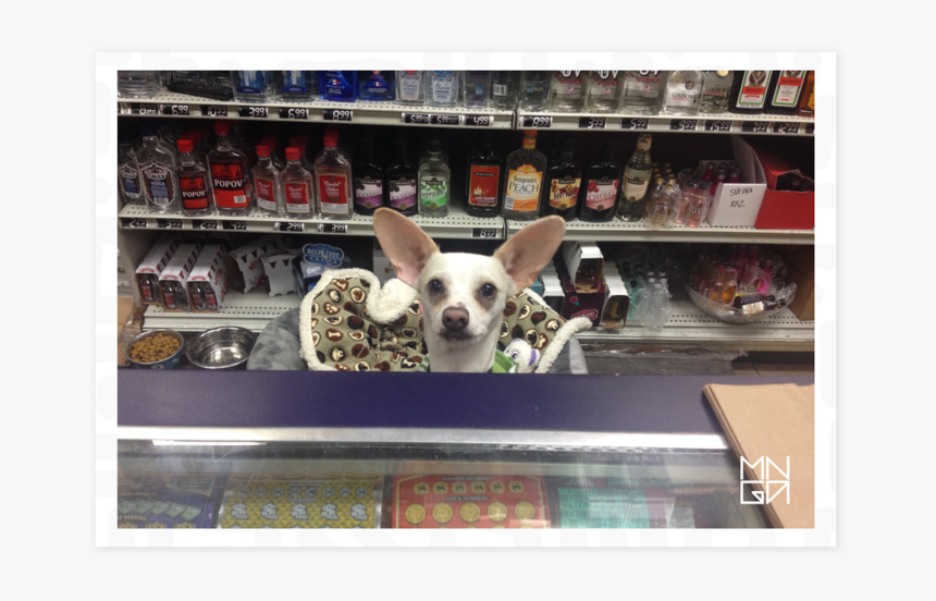 Customer Service Dog, HD Png Download , Transparent Png Image - PNGitem