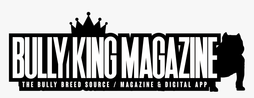 Bully King Magazine Logo, HD Png Download , Transparent Png Image - PNGitem