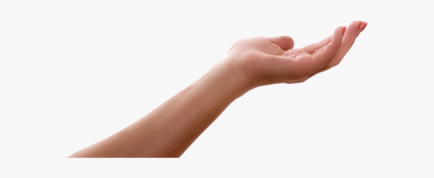 Hand - Sign Language, HD Png Download , Transparent Png Image - PNGitem