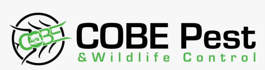 Cobe Logo Home - Graphics, HD Png Download , Transparent Png Image ...