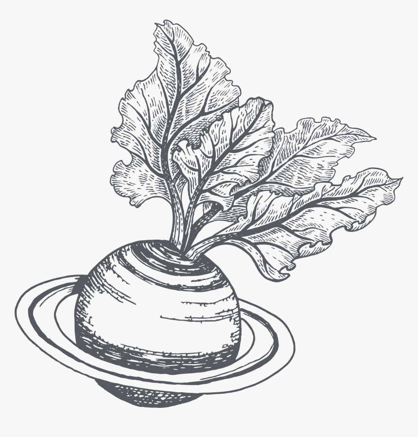 Line Art, HD Png Download , Transparent Png Image - PNGitem