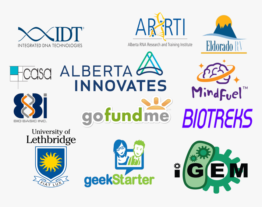 Responsive Image - Igem 2011, HD Png Download , Transparent Png Image ...