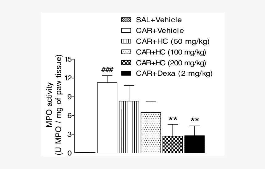 Number, HD Png Download , Transparent Png Image - PNGitem