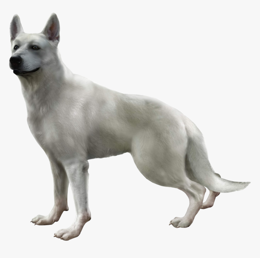 Hewie Haunting Ground, HD Png Download , Transparent Png Image - PNGitem