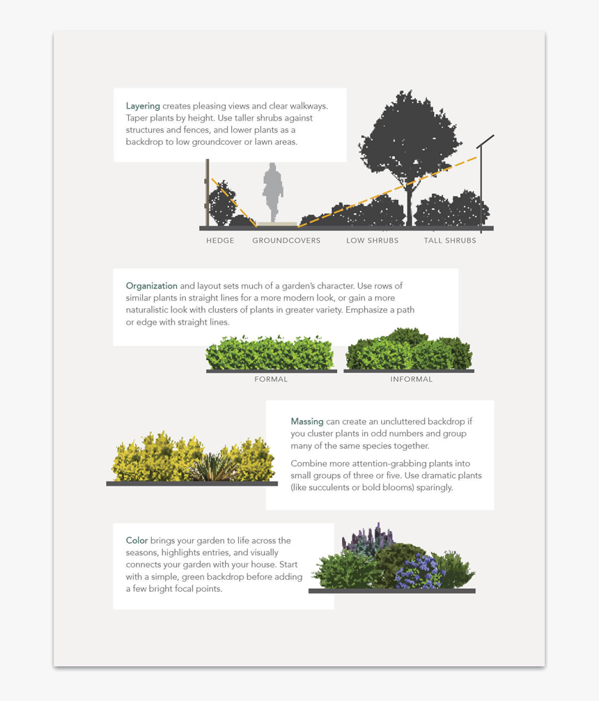 Yardkit Plant Sample Designing - Sabal Palmetto, HD Png Download ...