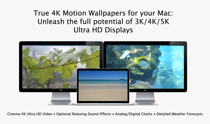 4k Resolution, HD Png Download , Transparent Png Image - PNGitem