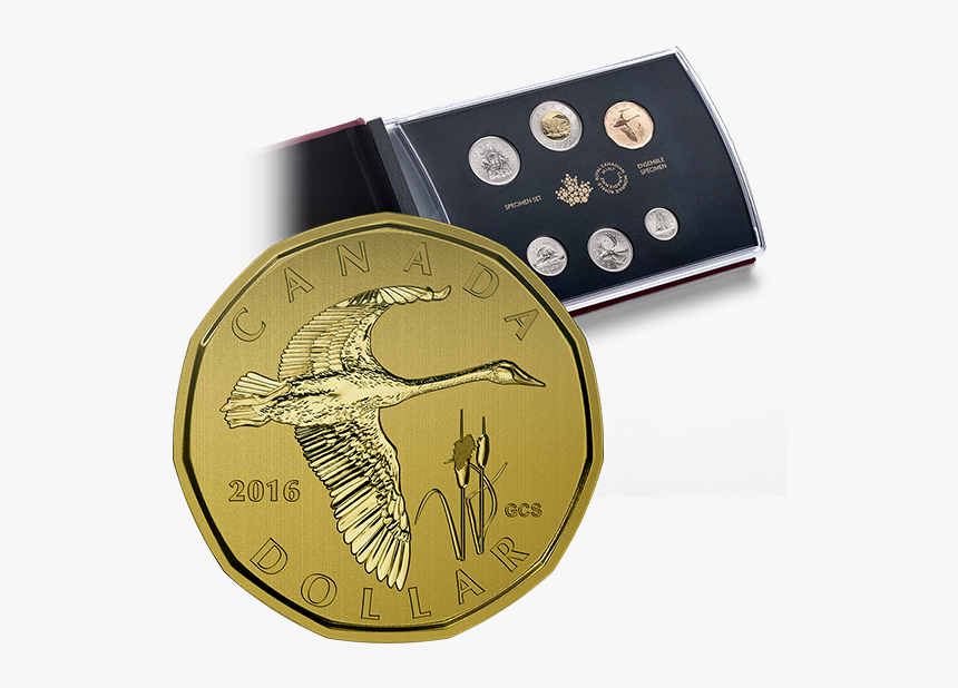2016 Canada Specimen Set, HD Png Download , Transparent Png Image - PNGitem