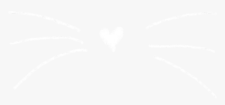 #png #overlay #overlays #cat #meow #cats #face #nose - Drawing ...