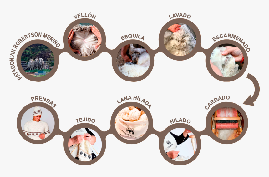 El Proceso De La Lana – proceso productivo de la lana – PEHHNU