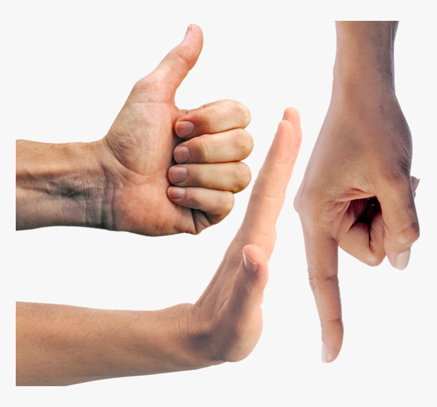 Human, HD Png Download , Transparent Png Image - PNGitem