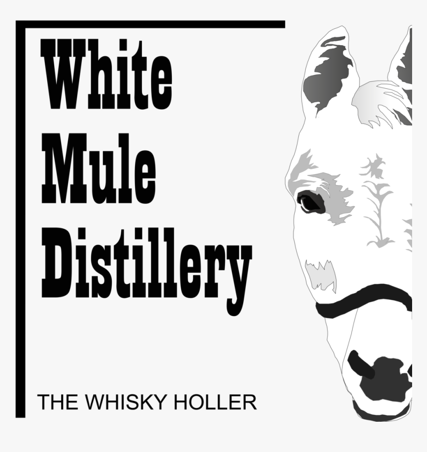 Wow Face Png, Transparent Png , Transparent Png Image - PNGitem