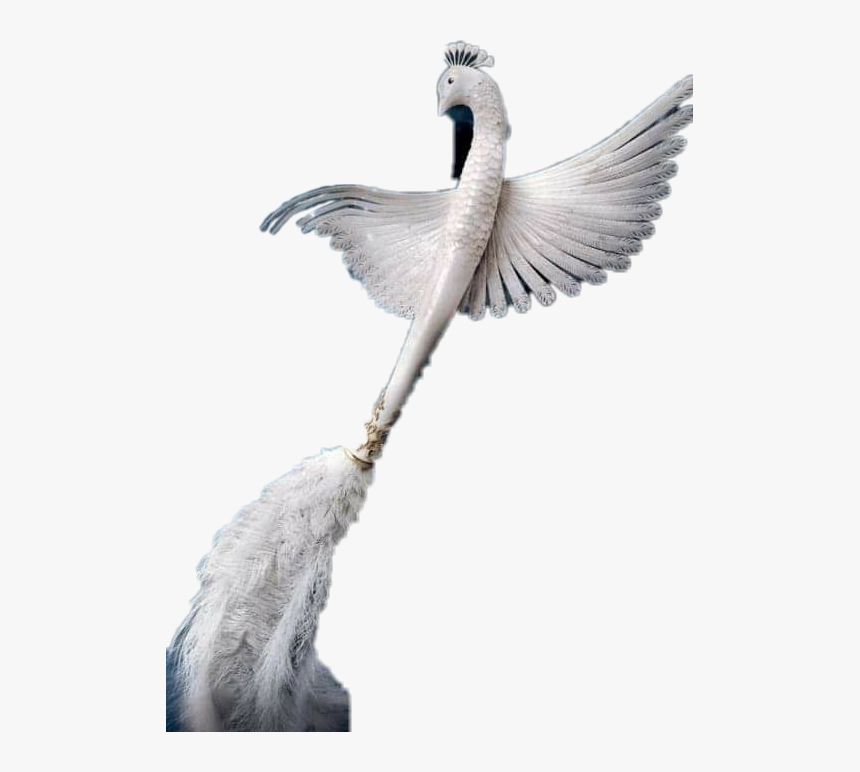 #plumette #duster #beautyandthebeast - Crane, HD Png Download ...