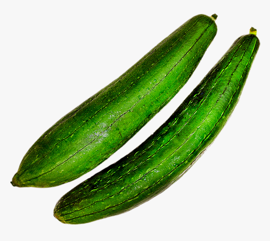 Zucchini, HD Png Download , Transparent Png Image - PNGitem