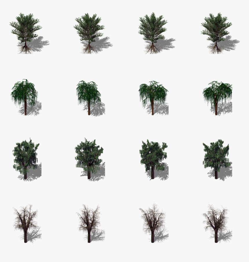 Sabal Palmetto, HD Png Download , Transparent Png Image - PNGitem