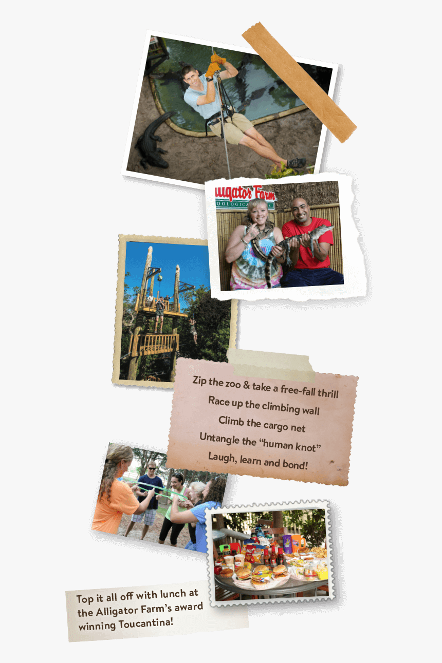 Team-building - Collage, HD Png Download , Transparent Png Image - PNGitem