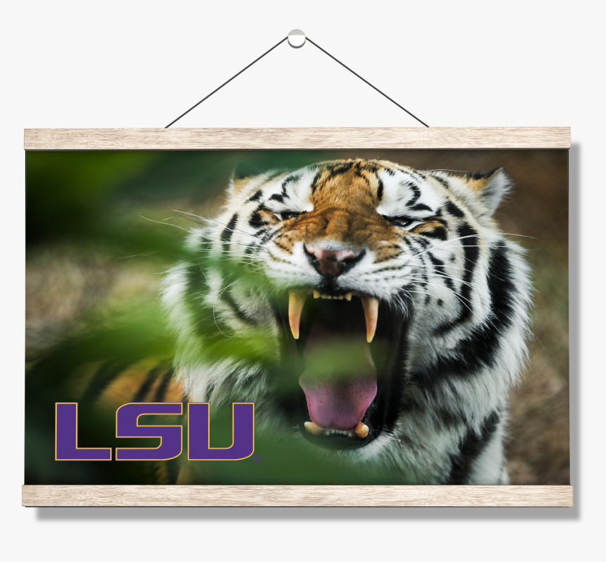 Mike The Tiger - Lsu Tiger, HD Png Download , Transparent Png Image ...