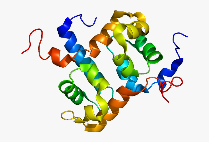 Protein Ercc1 Pdb 1z00 - Xpf Protein, HD Png Download , Transparent Png ...