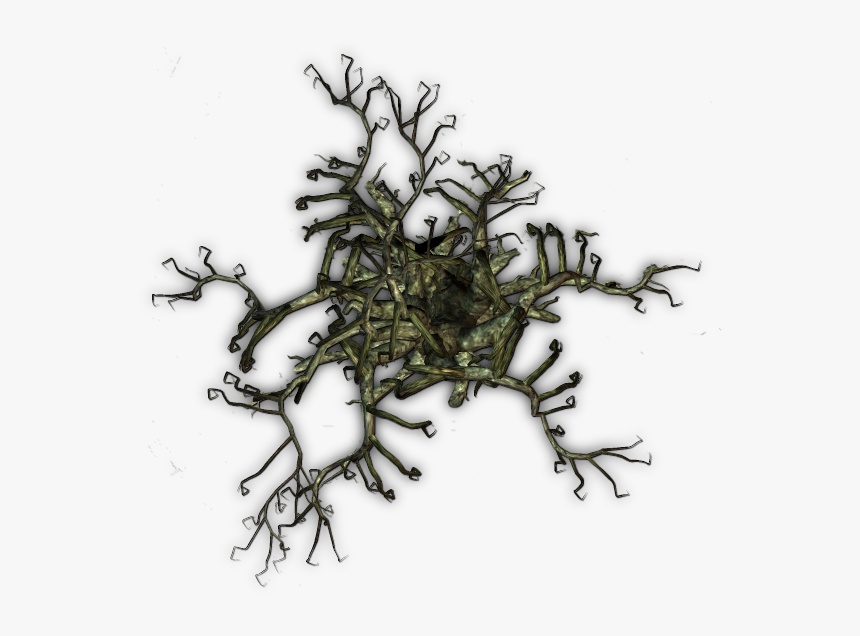 Dead Vines Png, Transparent Png , Transparent Png Image - PNGitem