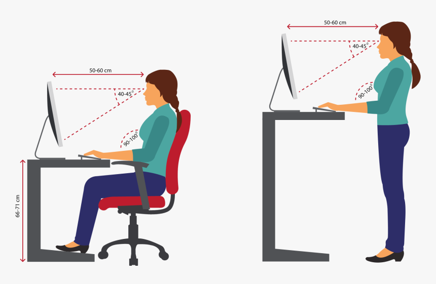 Good Posture In Office, HD Png Download , Transparent Png Image - PNGitem