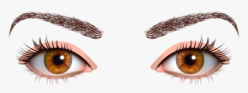 Transparent Brown Eye Png - Transparent Background Brown Eyes Png, Png ...