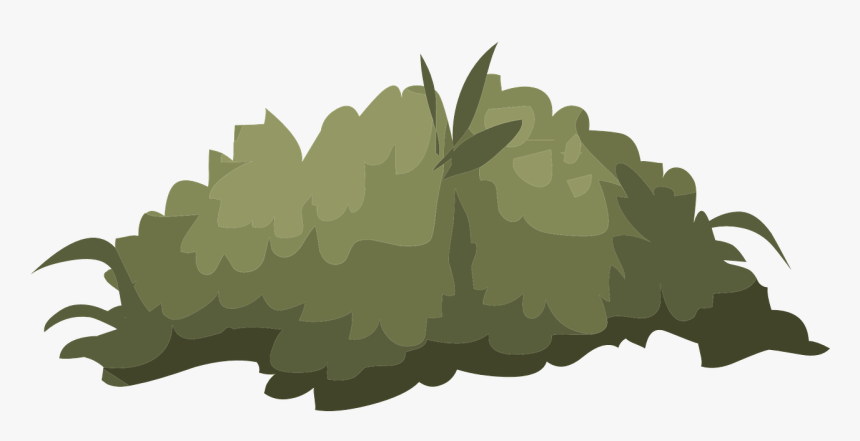 Transparent Bush Texture Png - Bush Illustration Png, Png Download ...