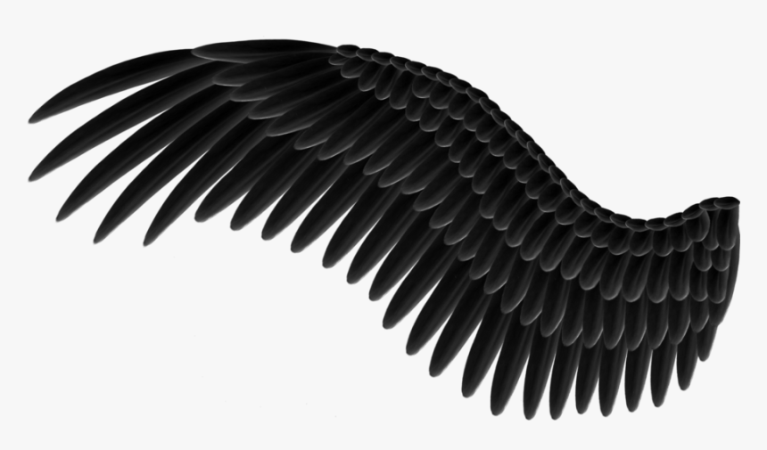 Wings Png - Black Angel Wing Png, Transparent Png , Transparent Png ...